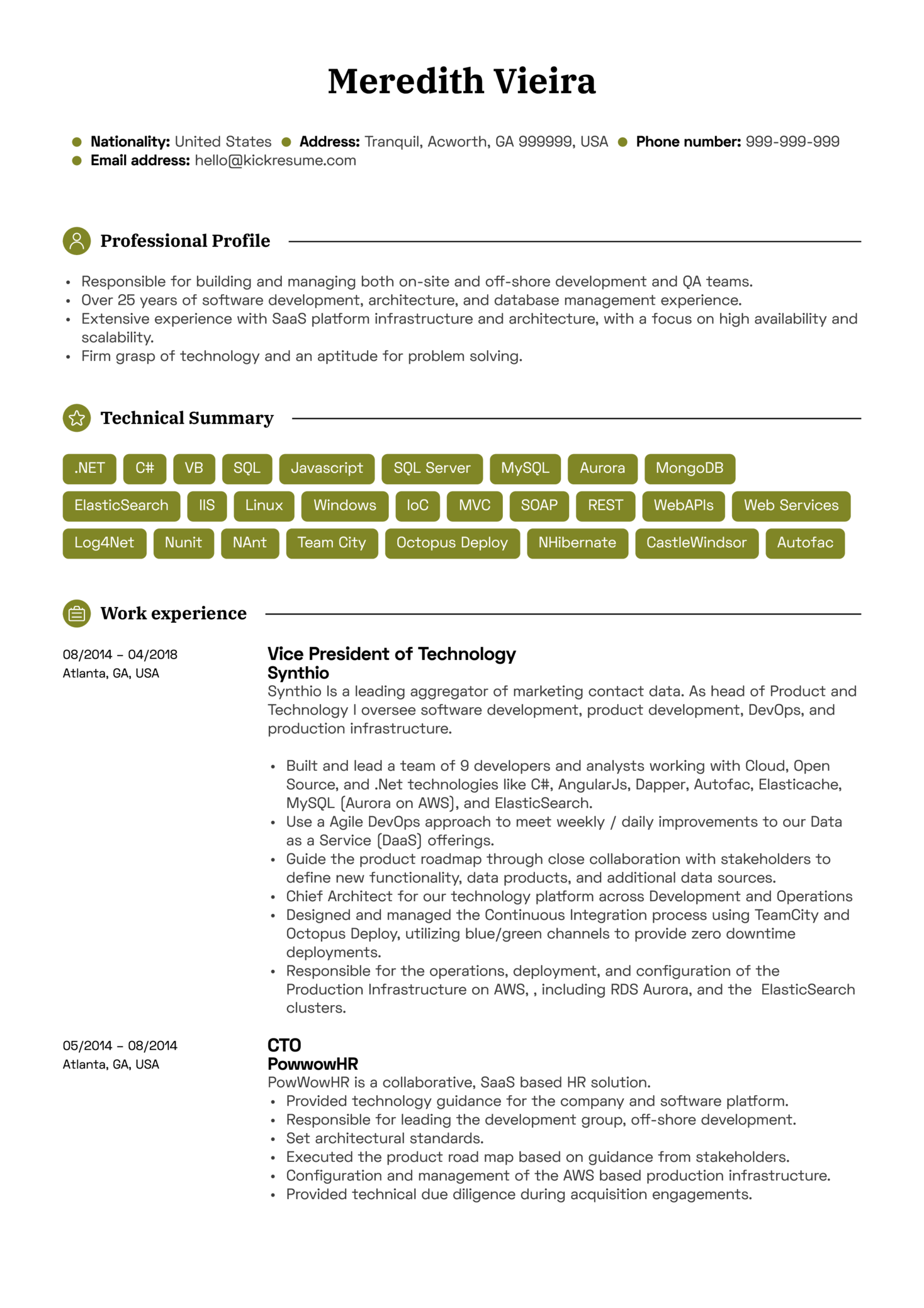 Programmer Resume Template Kickresume