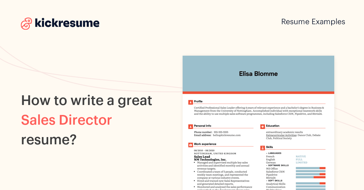 Sales Director Resume Examples & Writing Guide 2025 | Kickresume